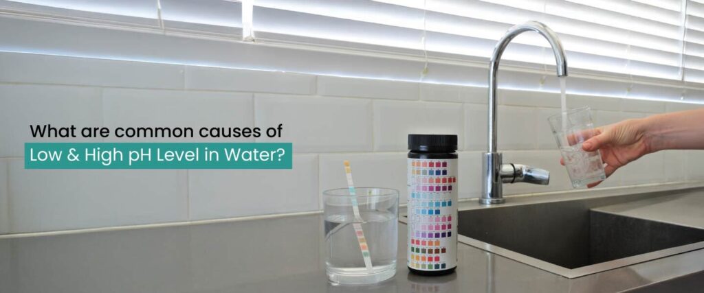 What are the Common Causes of Low & High pH Levels in Water?